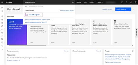 Ibm Watson Visual Recognition Creating And Deleting Instances