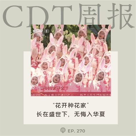 中国数字时代 On Twitter 本次春晚开场歌曲《花开种花家》算是首次将粉红漫画中的谐音梗引入了官方叙事，“每个人都是种花家的兔子