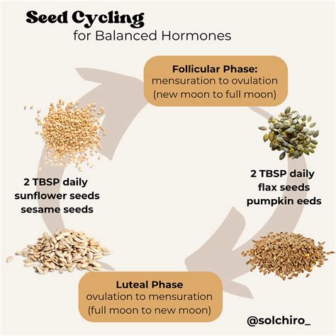 Seed Cycling The Natural Approach To Hormonal Balance
