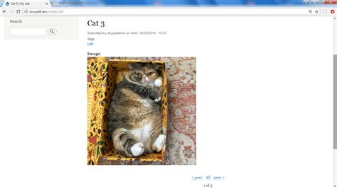 Creation Of The Image Gallery Using The Entity Pager Module Entity