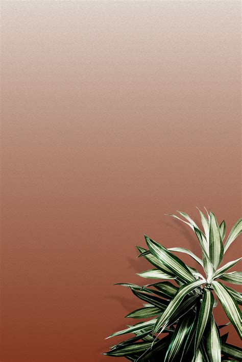 Ombre Rust