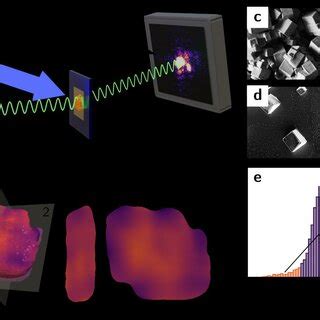 Tracking Dislocation Migration In A MAPbBr3 Microcrystal In Situ Under