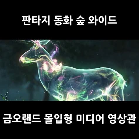 기획 편집 Adobe After Effects 금오랜드 판타지 숲 와이드 영상 2d 애니메이션 포트폴리오 크몽