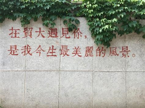 对外经济贸易大学国际商务复试经验贴（附历年真题 知乎
