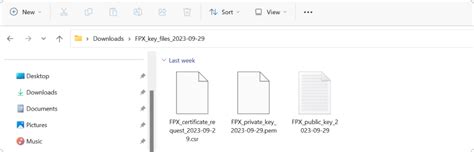 CSR Renewal Process PayNet APIs Documentation