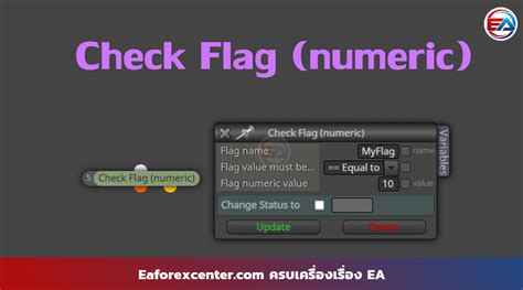 วิธีใช้งานบล็อก Flag บน Fxdreema