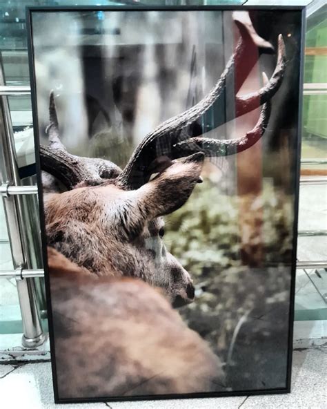 ‎تولید کننده قاب عکس های فلزی‎ Ghabfelezi • Instagram Photos And Videos