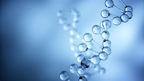 Researchers Identify 275 Mln New Genetic Variants Study Cgtn