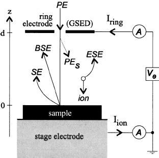 Schematic Illustration Of A Variable Pressure Sem Specimen Chamber The