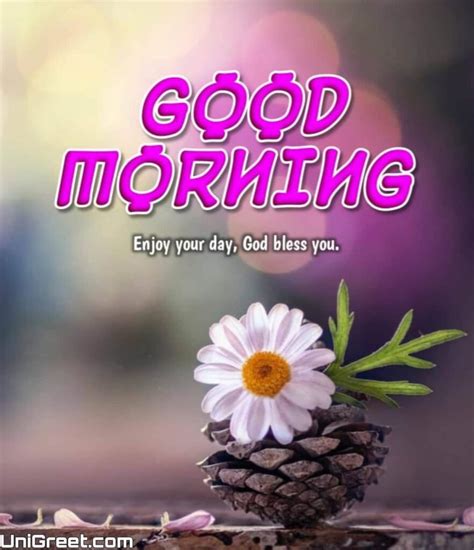 Top 999 Good Morning Beautiful Images Hd Amazing Collection Good