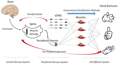 Semg Based Hand Gesture Classification Using A Generative Flow Model