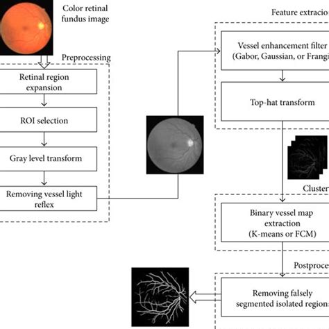 The Top Hat Transform Of Frangi Filter Output Download Scientific Diagram