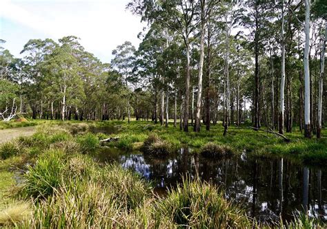 The 10 Best Things To Do In Walcha 2025 Must See Attractions