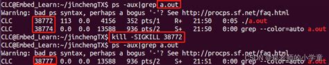 linux进程通信——信号（一） sigusr1 csdn博客
