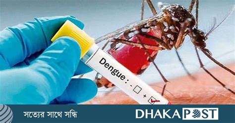 ডেঙ্গু আক্রান্ত হয়ে হাসপাতালে ভর্তি ২৭ জন