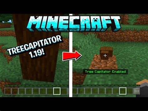 ATUALIZADO DOWNLOAD Do ADDON Do TREECAPITATOR Para O MINECRAFT PE YouTube
