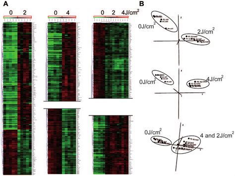 Gene And Sample Classification Analyses Hierarchical Clustering Hc Download Scientific