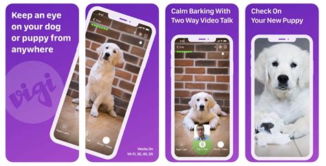 Apps Every Pet Owner Should Have Mashable