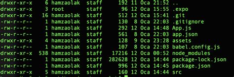 Npm Eacces Permission Denied Even With Sudo Stack Overflow