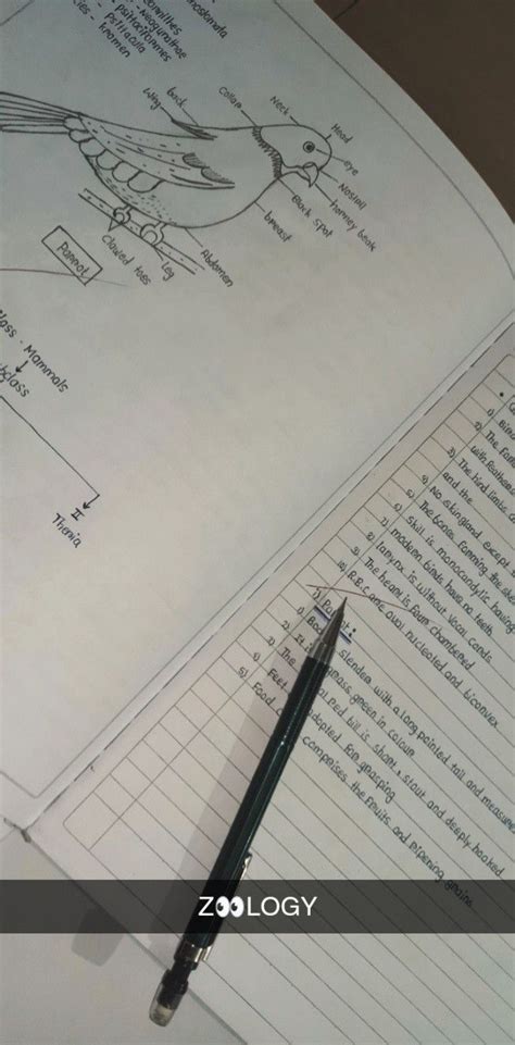 Study Study Snaps Ideas Snap Quotes Cute Quotes For Friends