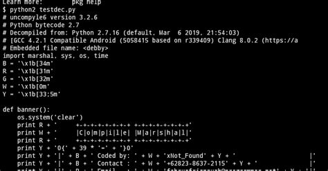 Decompile Python Byte Code Code