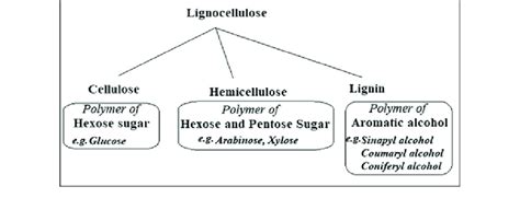 Schematic Diagram Of Principal Components Of Lignocellulosic Biomass