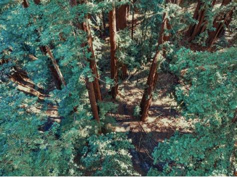 What Is TTL Or Through The Lens Flash