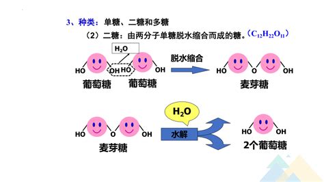 2022 2023学年高一上学期生物人教版必修1 2 3 细胞中的糖类和脂质课件 共38张ppt 21世纪教育网