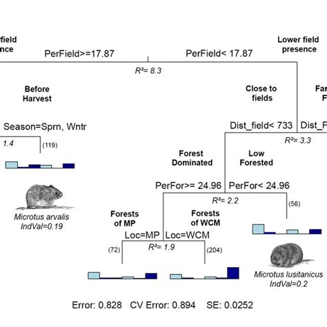 Multivariate Regression Tree Defining Normalized Biomass Of Rodent