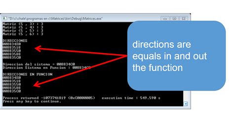 Pointers C Program Crashes When Using Free Function Stack Overflow