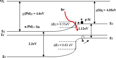 Energy Band Diagram Of N Pbi2snp Si Heterojunction Photodetector