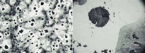 Microstructures Of The Inner Core Produced By Ductile Iron A Download
