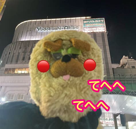 🐶｛ 女優さんの出待ちで マスクした知らない女の人を女優さんかと思って、元気に手を振っちゃったぞぉ🤣 だってー、手をぶり返すんだもん☺️ 先生