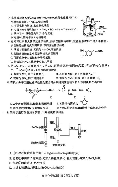 2024届山东省泰安市高三下学期二模化学试卷 教习网试卷下载
