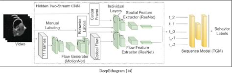 Figure 10 From Cnn Based Action Recognition And Pose Estimation For