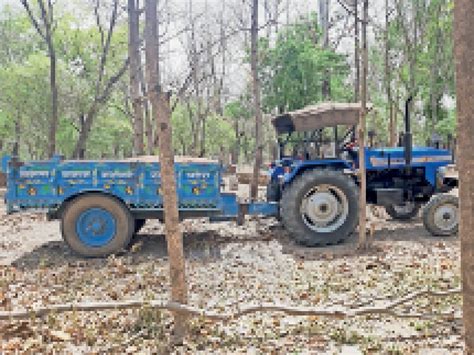 Station In Charge Seized Two Tractor Trolleys अवैध रेत का परिवहन