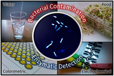 Colorimetric And Electrochemical Bacteria Detection Using Printed Paper And Transparency Based