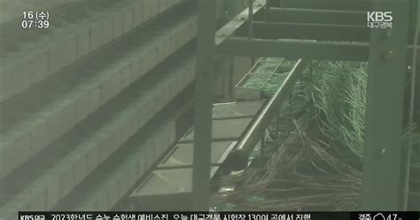 ‘2만 회선 통신시설 안전 취약 아파트 지하에