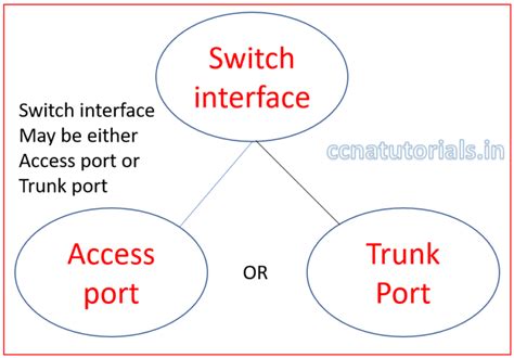 Access And Trunk Ports For Vlan Explained In Detail Ccna Tutorials