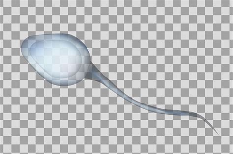 Illustration Vectorielle De Spermatozoïde Bleu Spermatozoïde 3d Isolé