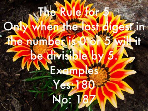 The Divisibility Rules By Kate Henderson