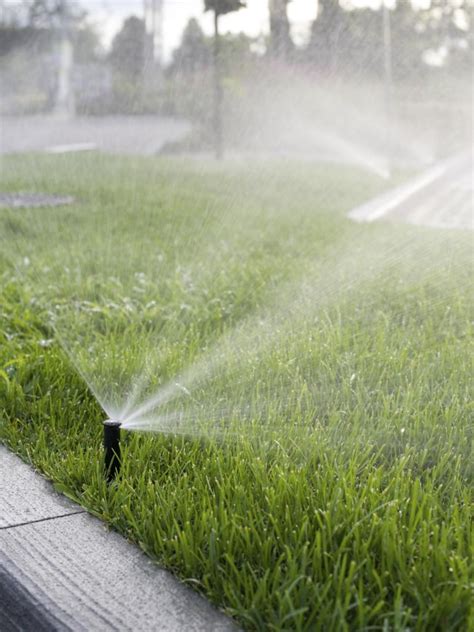 15 Year Round Lawn Care Tips Artofit