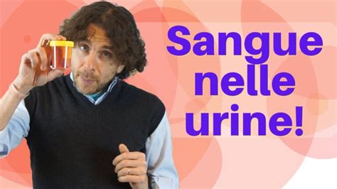 Eritrociti Elevati Nelle Urine Quando Preoccuparsi Actualizado Octubre 2025