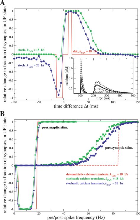 Synaptic Modifications In Response To Stdp Purely Presynaptic Or Download Scientific Diagram
