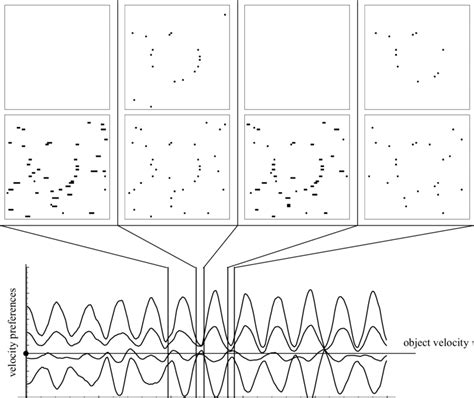 Adaptation Dynamics And Spatiotemporal Pattern Of Cortical Activity In Download Scientific