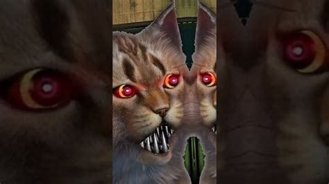 котёнок лайк котик игроман котёнок веснушка Youtube