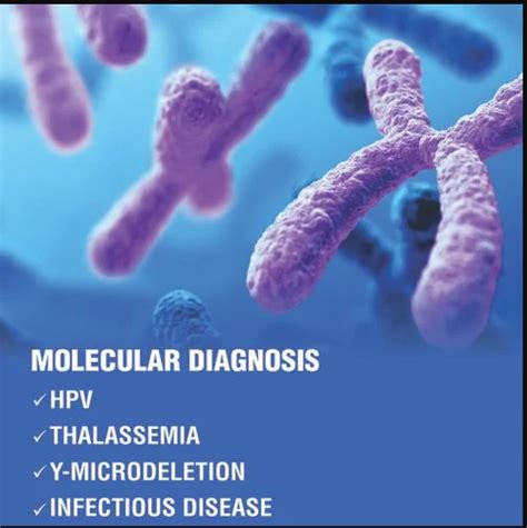 Molecular Diagnostic Services In Chennai By Primegen Healthcare