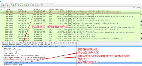Wireshark抓包tcp包头分析抓包如何看包头 Csdn博客