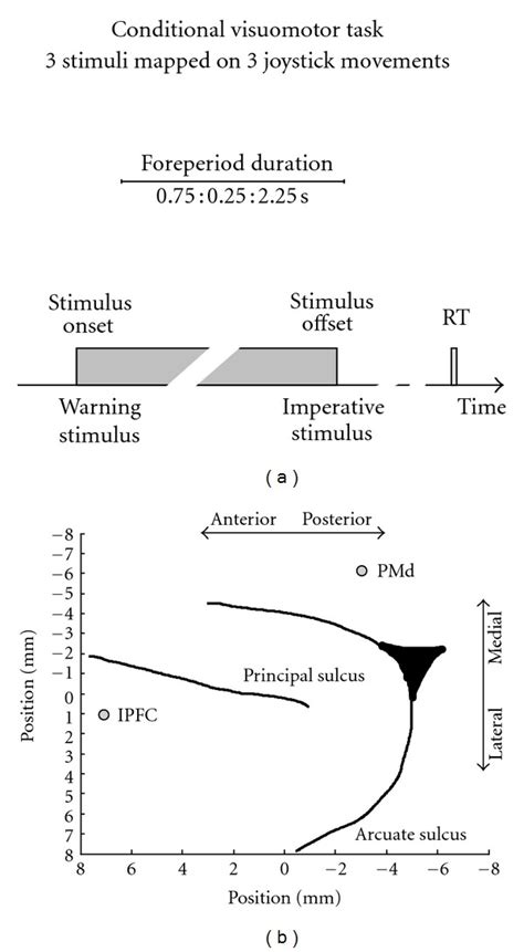 Neurophysiological Experiments A Conditional Visuomotor Task Design