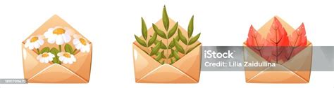 꽃 나뭇잎 말린 꽃이 있는 열린 봉투 세트입니다 다른 식물과 잎이 있는 봉투 모음 크래프트 종이 봉투 사랑과 우정 편지 디자인의 현대 컬렉션 내부에 대한 스톡 벡터 아트 및